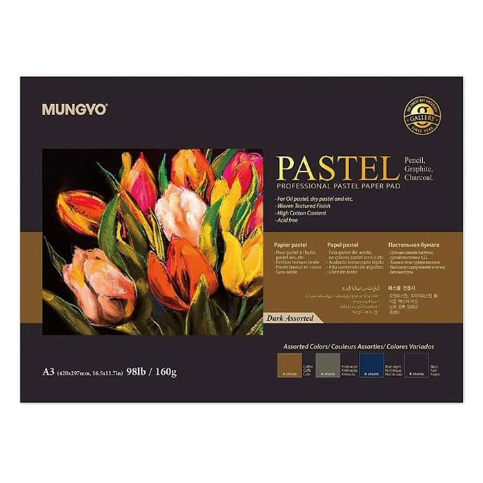 Mungyo Professional Pastel Paper Pad - Assorted Dark, A3